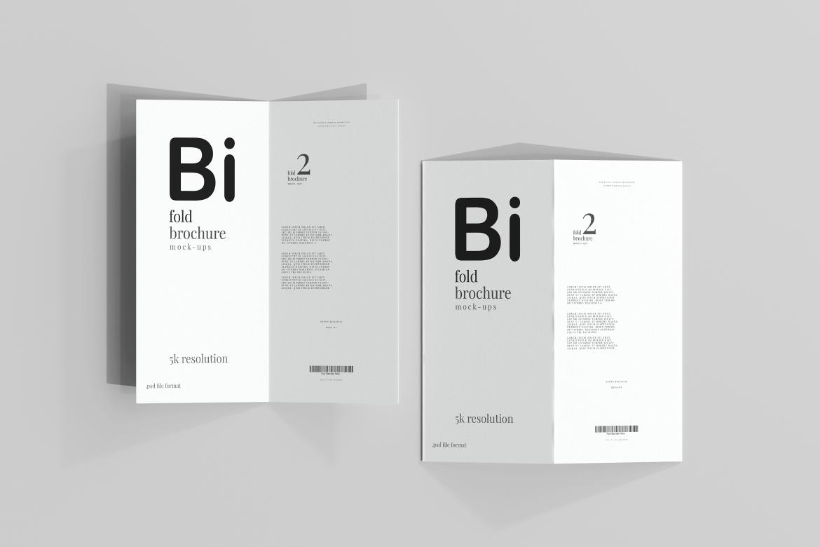 Bi Fold DL Brochure Mockups | Premium & Free PSD Mockup Store