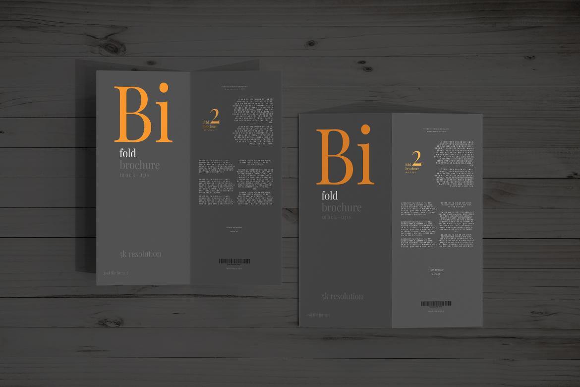Bi Fold DL Brochure Mockups | Premium & Free PSD Mockup Store