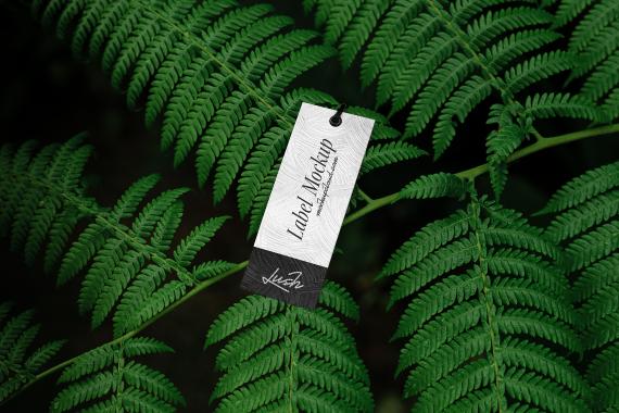 Lush Branding Mockups Kit | Premium & Free PSD Mockup Store